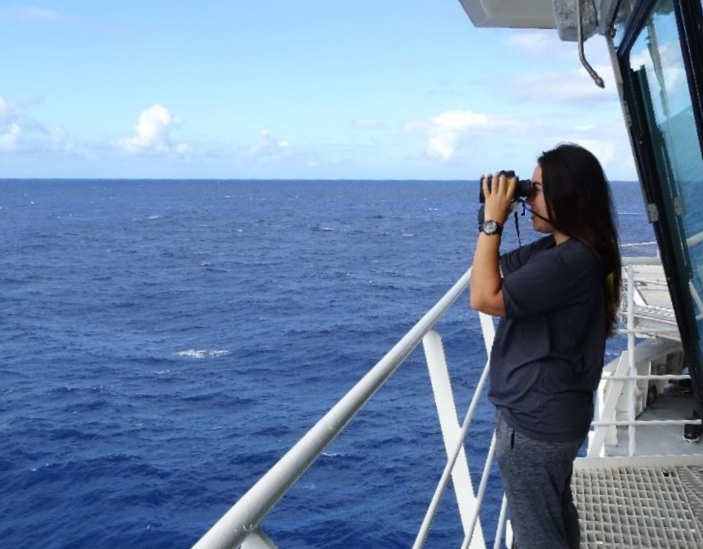 STRIX | Seabird Observers